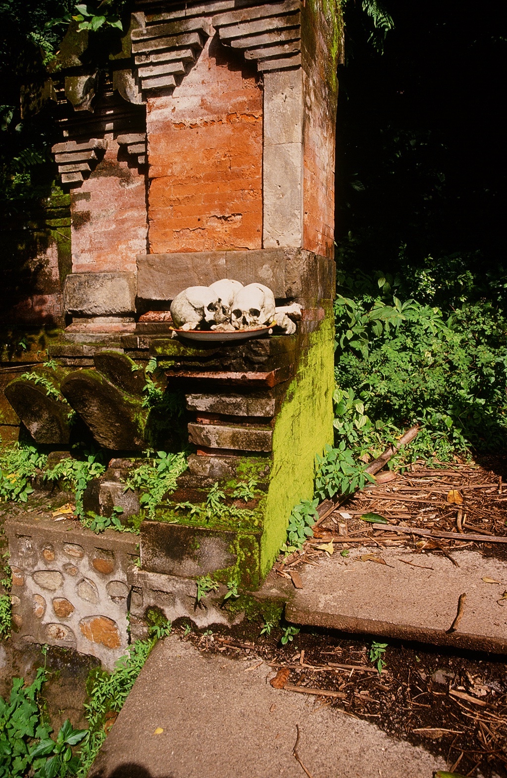Life and Death Under the Volcano for the Bali Aga